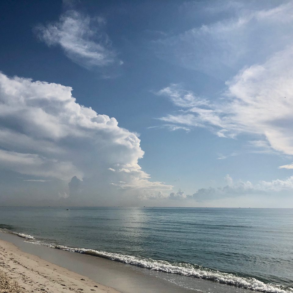 Carillon Miami Wellness Resort - Live Grounded Travel