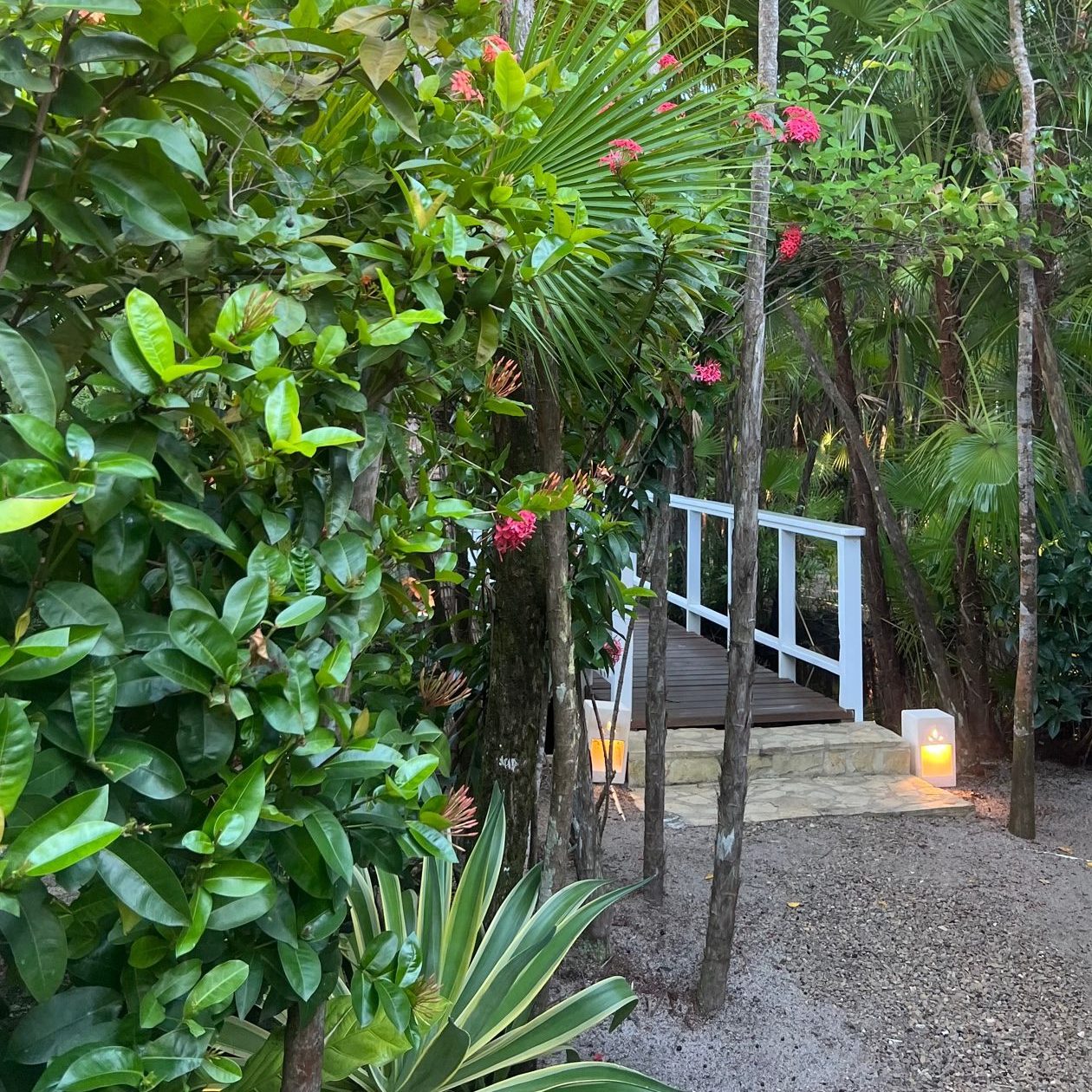 NATIVE BOTANICALS AT NAIA - Live Grounded Travel